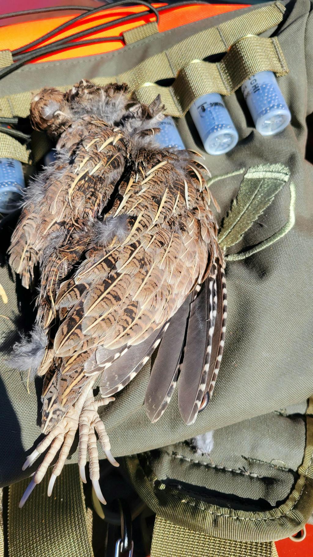 FINAL RISE SUMMIT SYSTEM – FINAL RISE GEAR