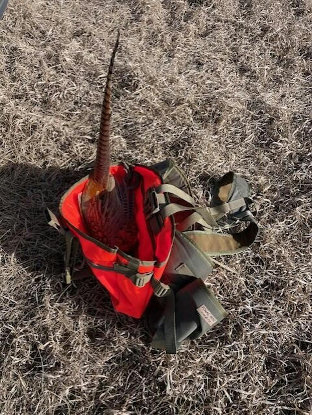 FINAL RISE SIDEKICK – FINAL RISE GEAR