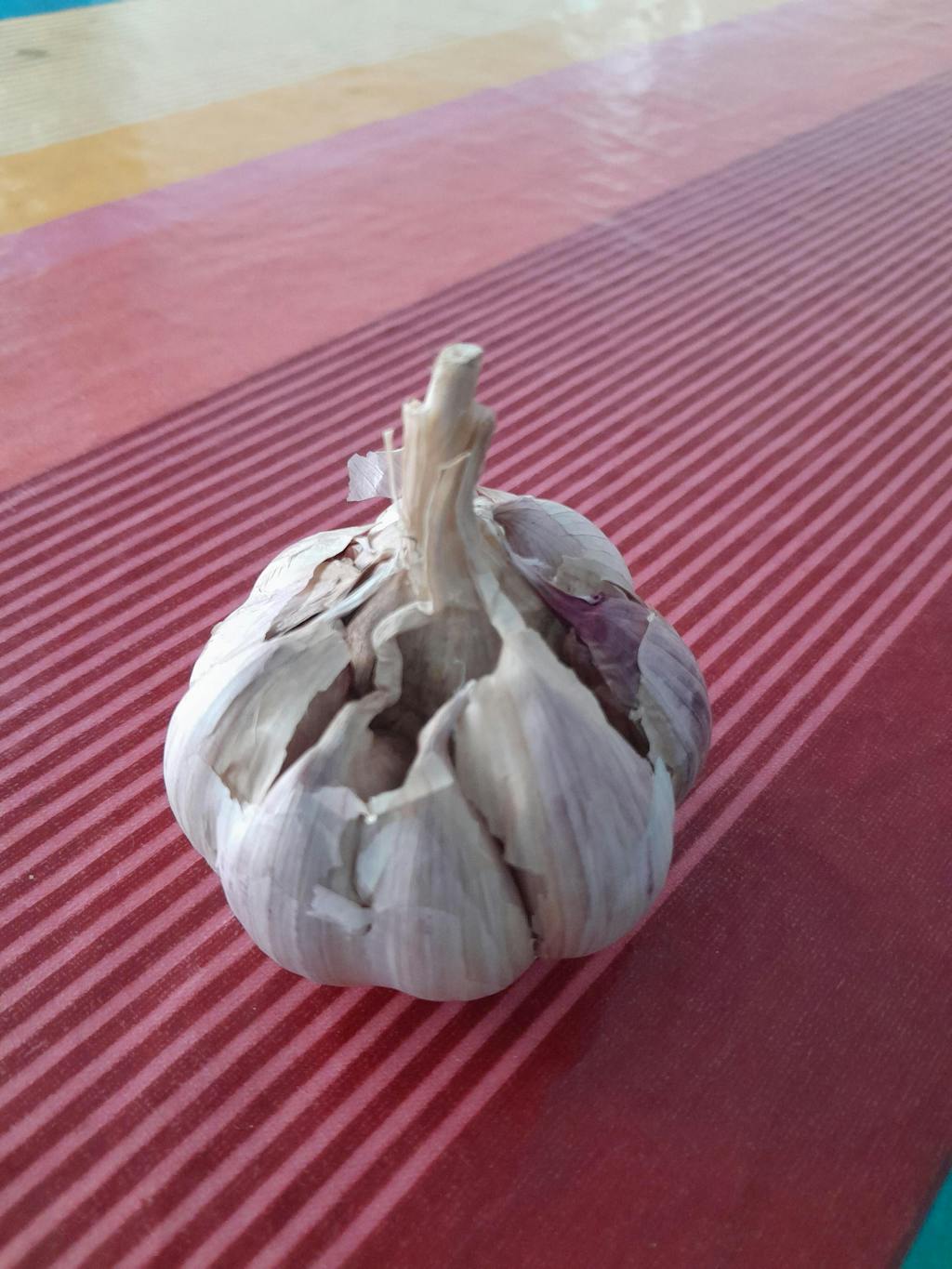 AJO SECO ECOLÓGICO - Finca Cultiva Salud