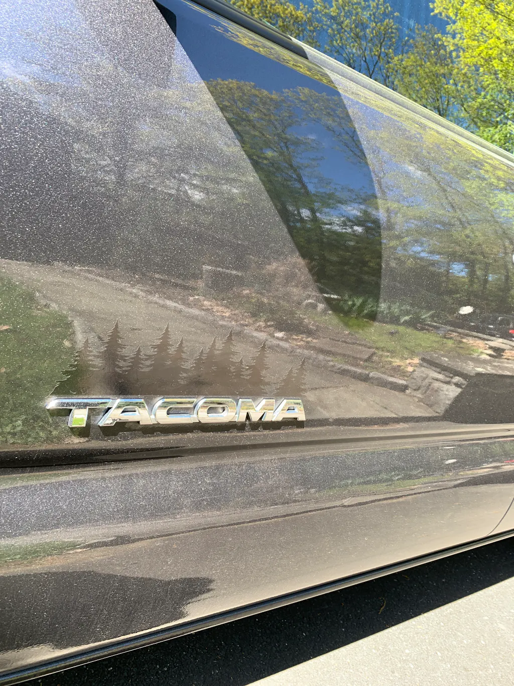 Tree Forest Badge Set, For Toyota Tacoma 2nd or 3rd gen – Finishing ...