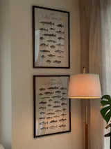 Customer Reviews – Fish Prints