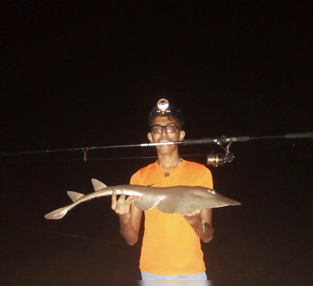 Micro Lures: Tiny Treasures for Big Catches - Fishermanshub