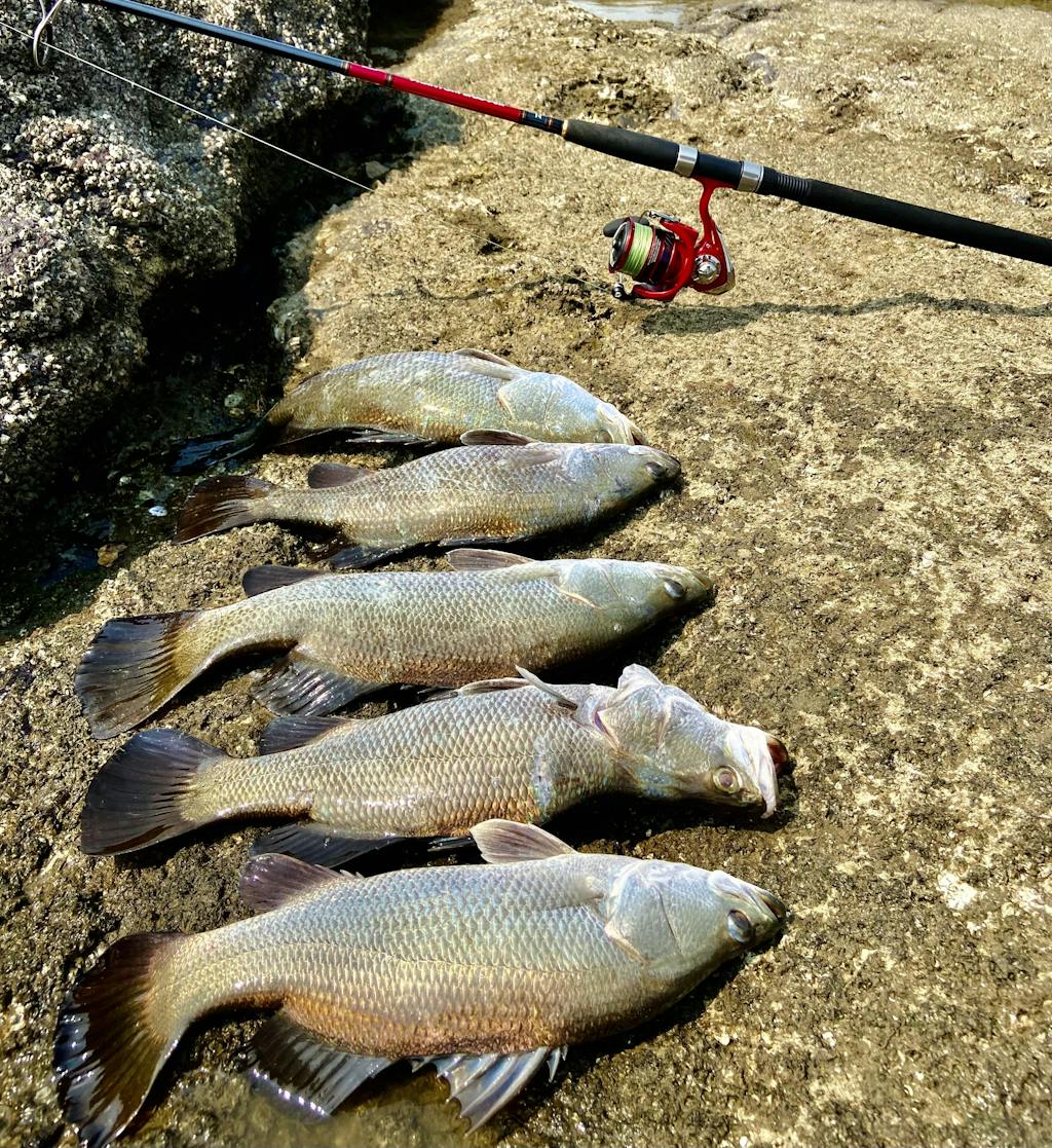 Gfin Crazy Shrimp Soft Plastic Baits With Jig Head | 5 Inch