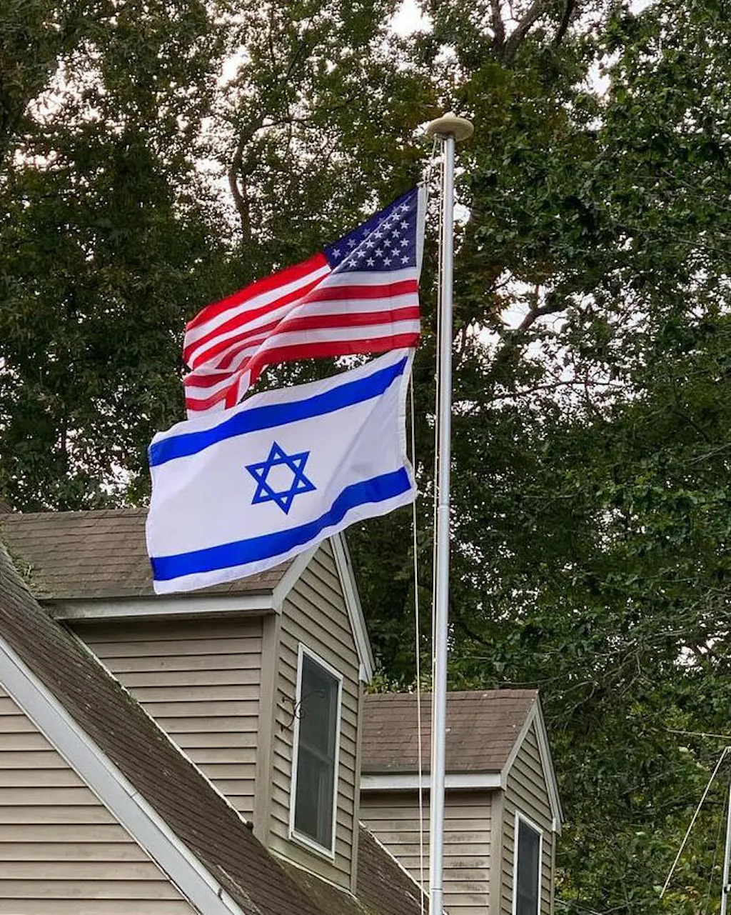 Israel Outdoor Flag | Heavy-Duty Nylon | Made in USA | Flagman ...