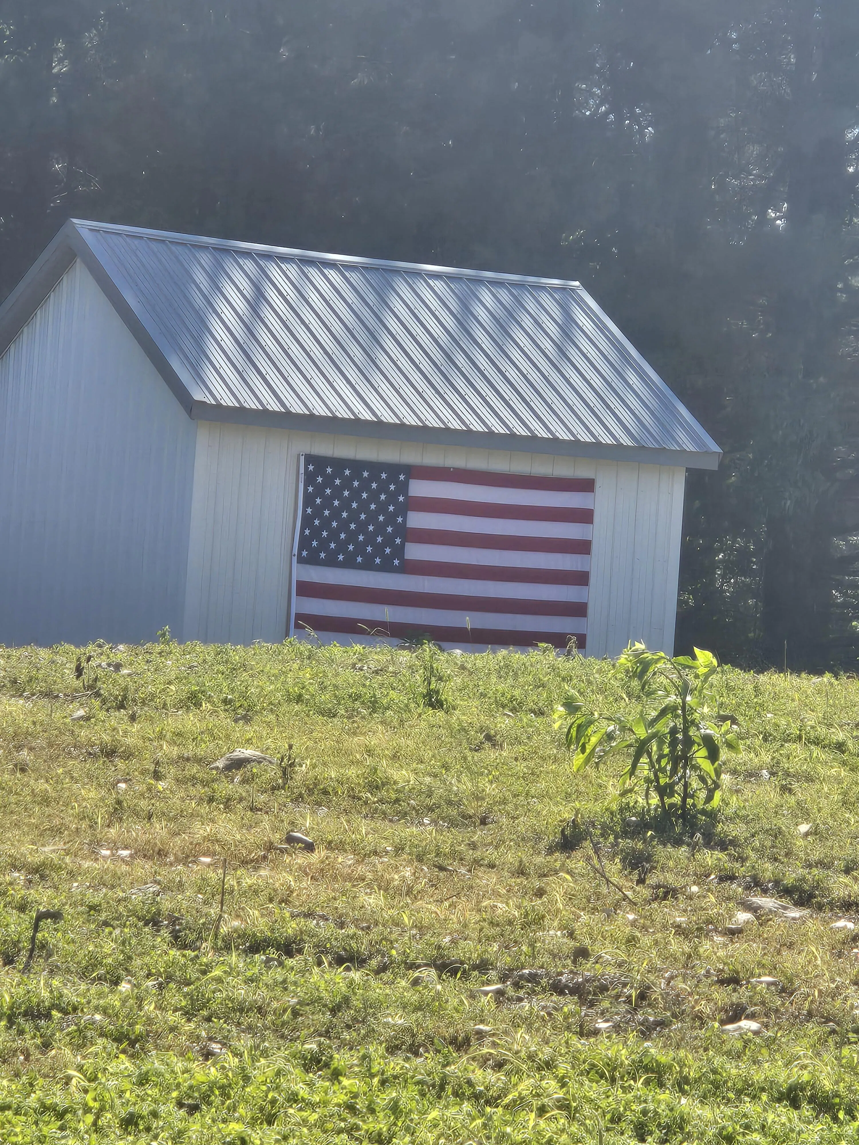 American Flag for Wall | US Flag for Wall | Wall Mounted American Flag ...