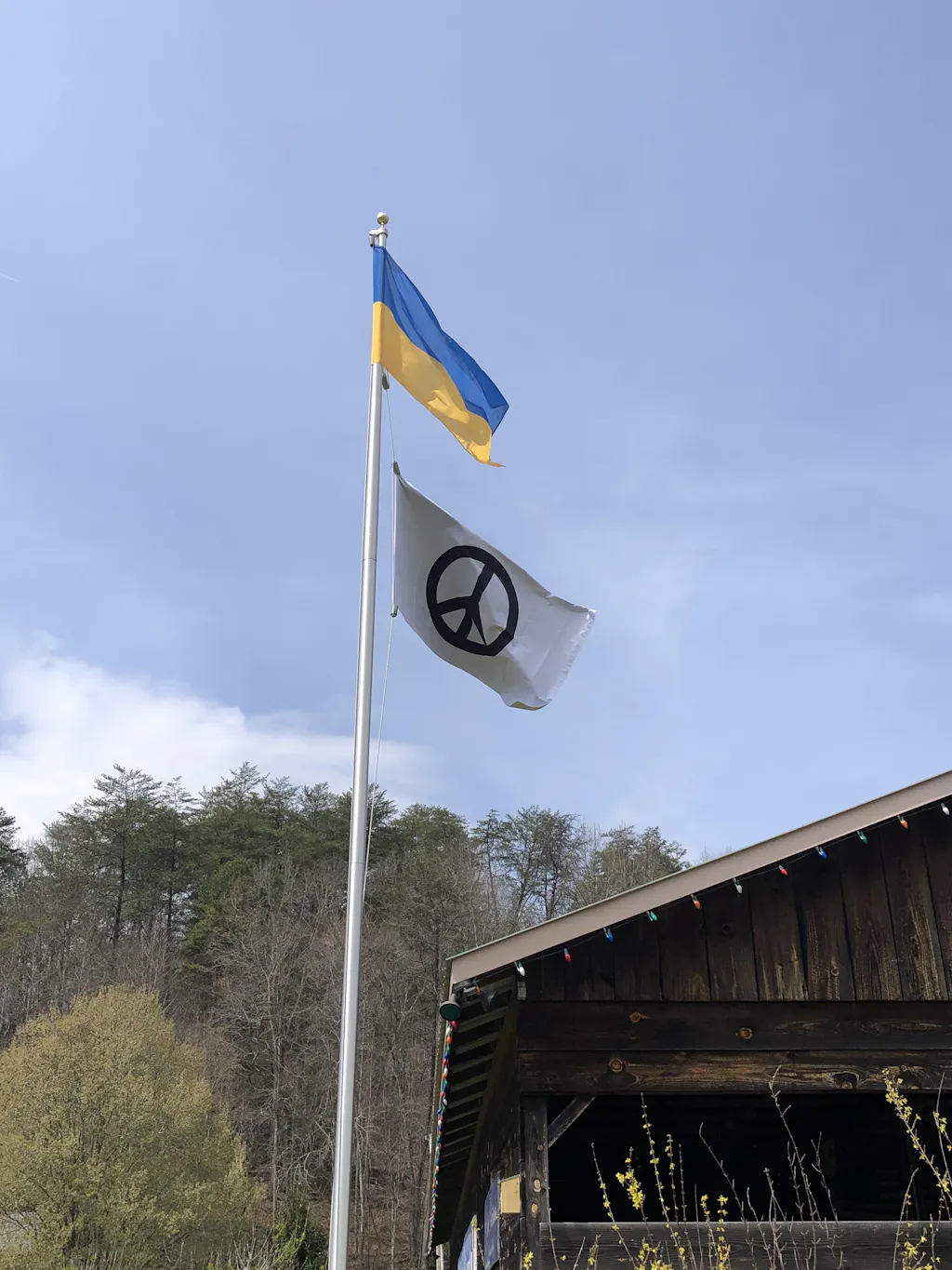 Peace Sign Flag | $1 Donated | Flags For Good