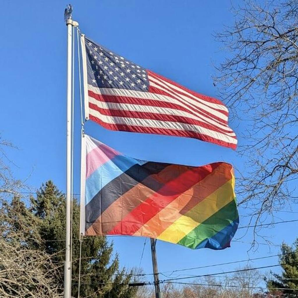 11-Stripe Diagonal LGBTQ+ Pride Flag | Multiple Sizes – Flags For Good