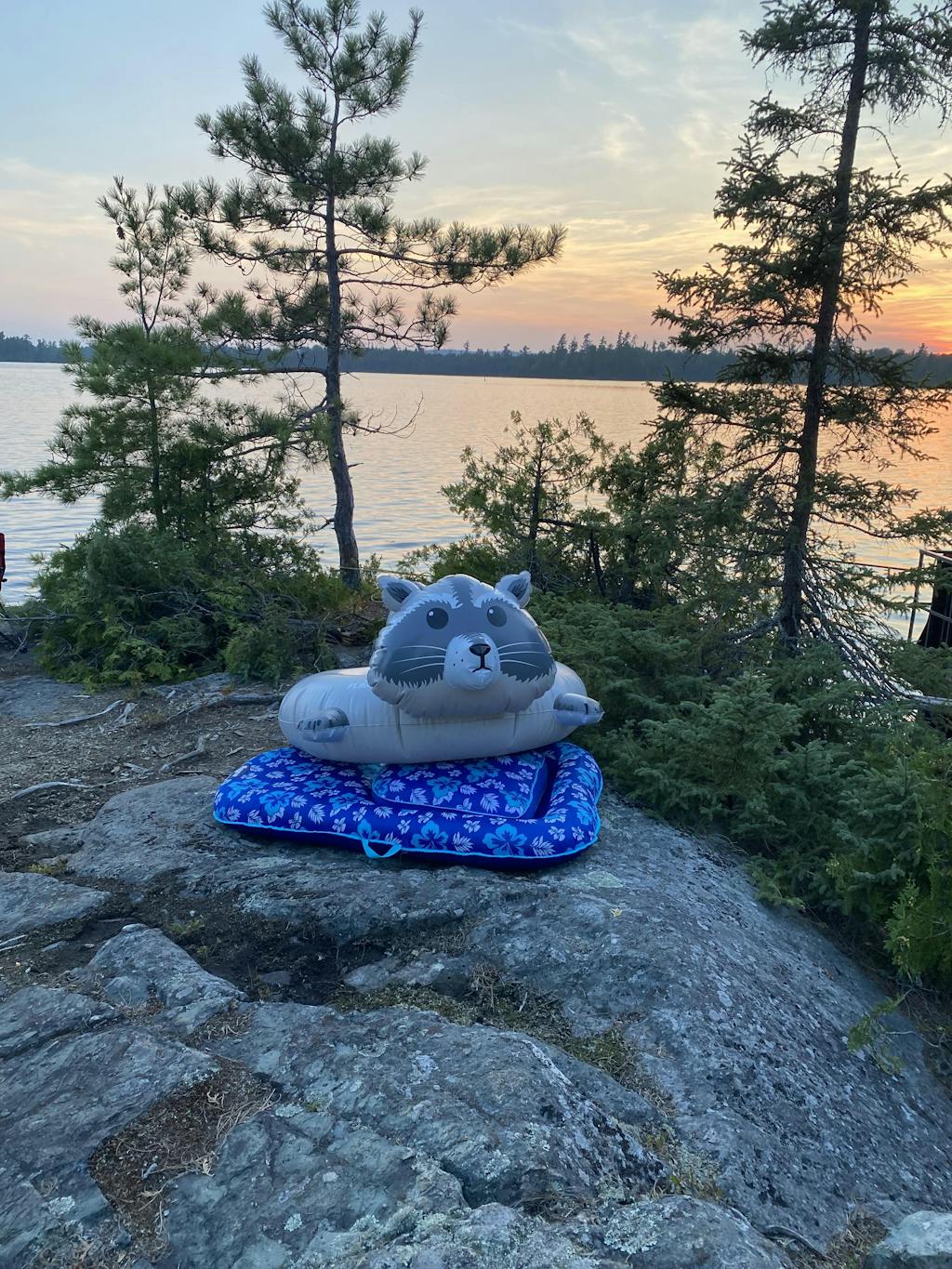 The Raccoon - Adult Swimming Pool Float | Swimming Pool Floats Canada