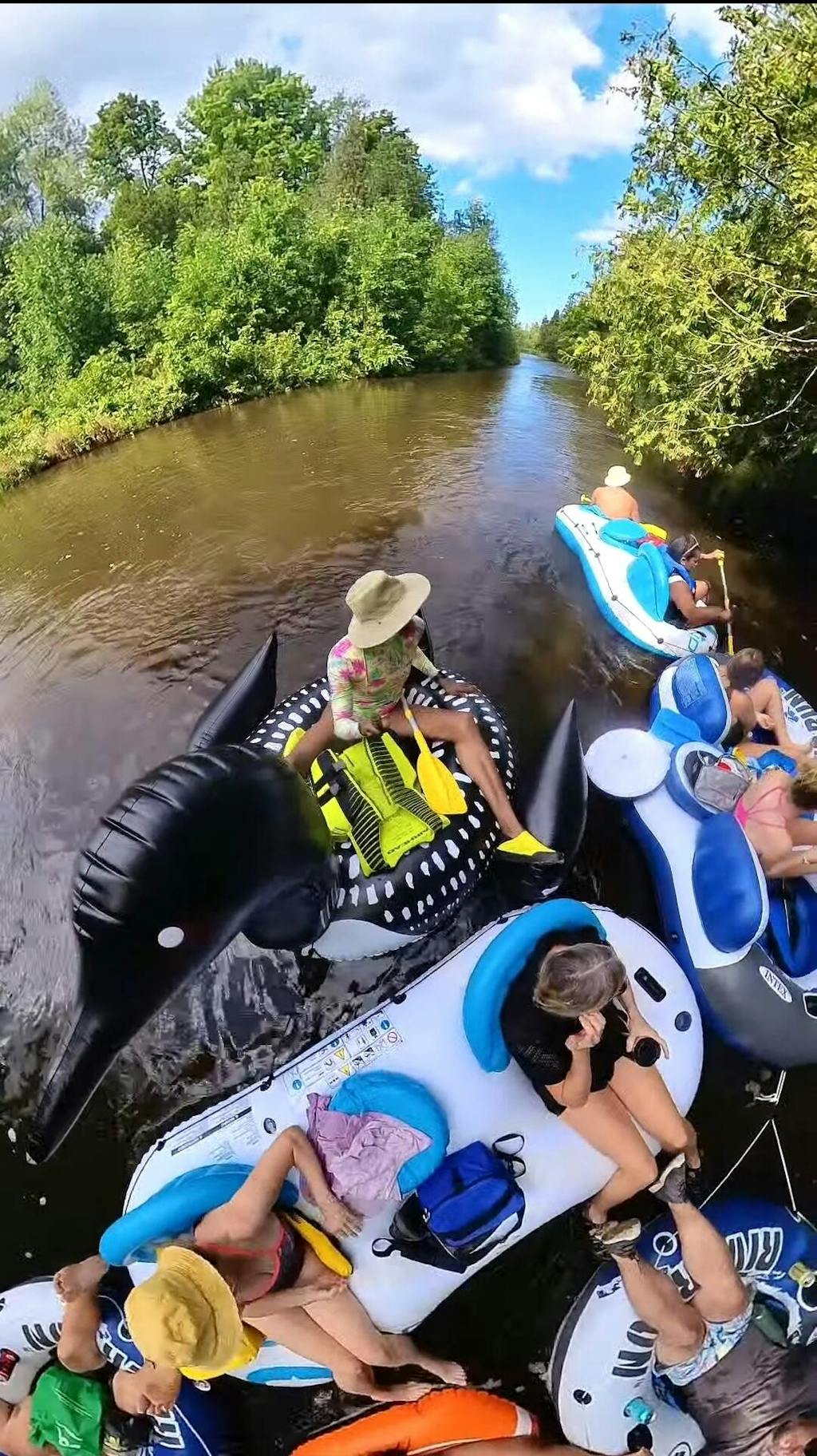 The Loon - Adult Swimming Pool Float | Swimming Pool Floats Canada