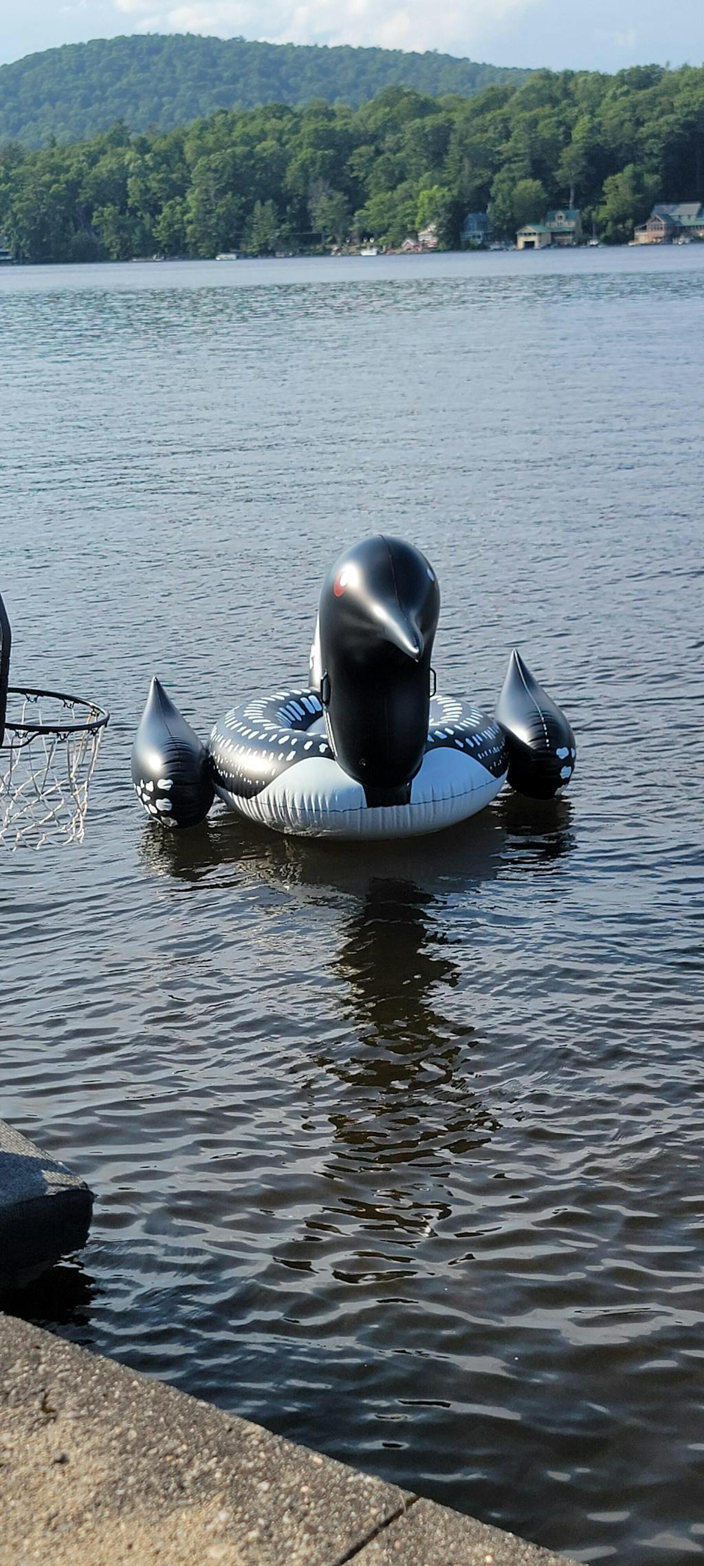 The Loon - Adult Swimming Pool Float | Swimming Pool Floats Canada