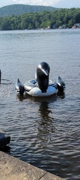 The Loon - Adult Swimming Pool Float | Swimming Pool Floats Canada