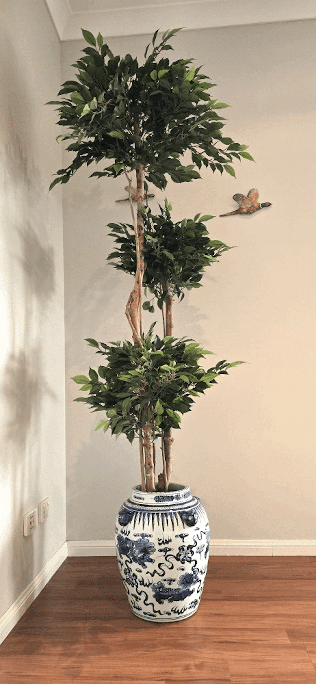 Artificial Ginkgo Tree Potted 240cm — Flora Designs Australia