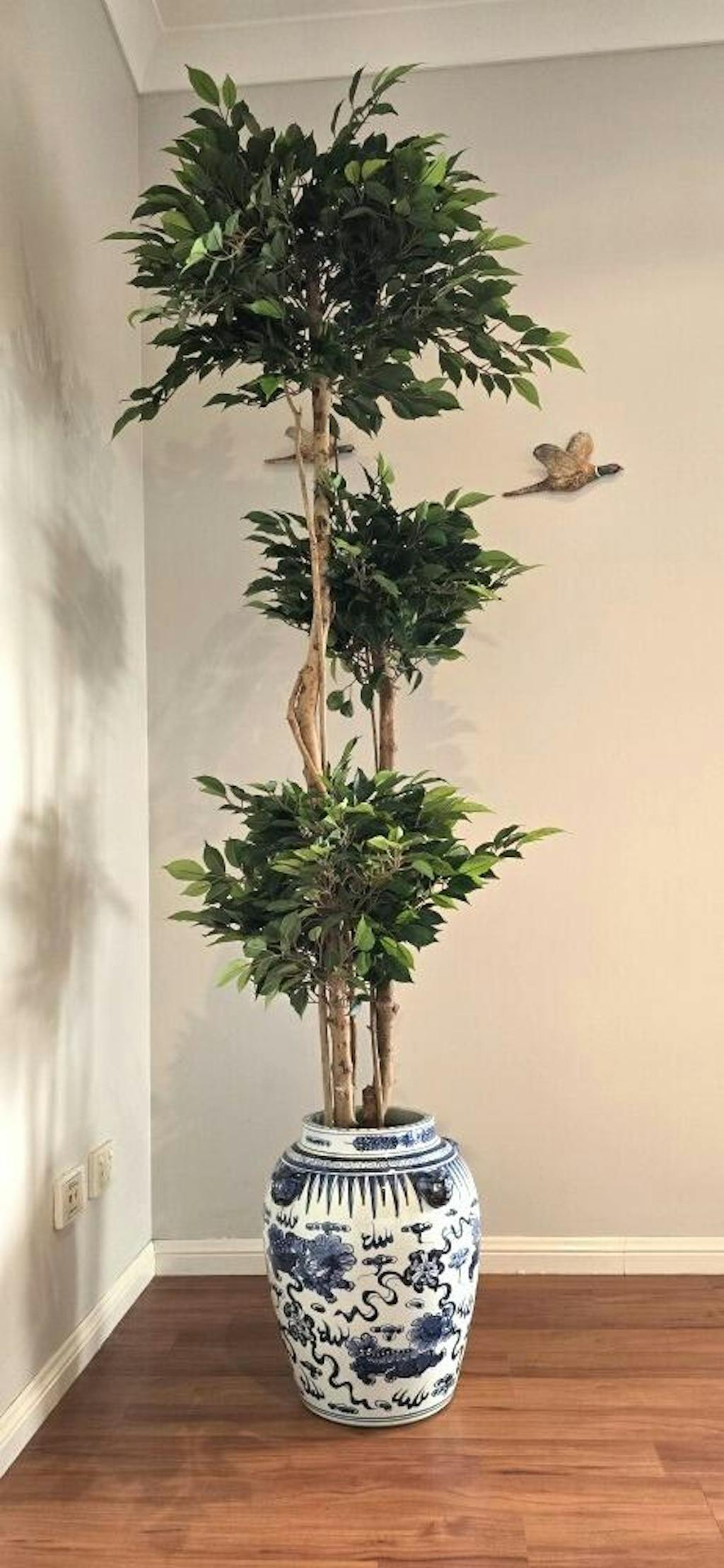 Artificial Ginkgo Tree Potted 240cm — Flora Designs Australia