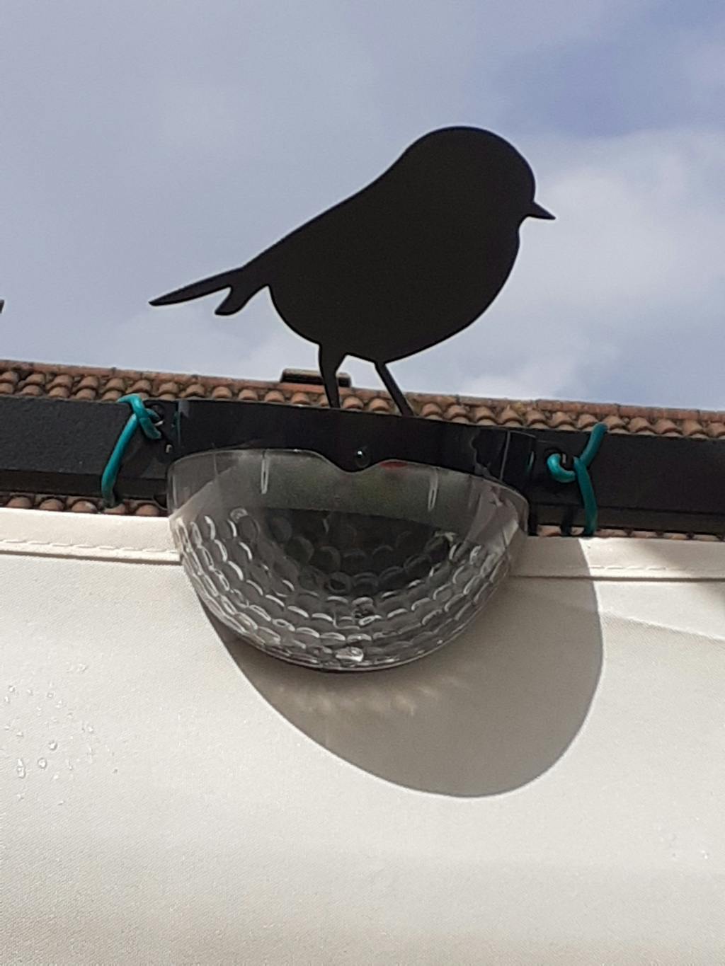 Robin Solar Powered LED Light – Flory's Online