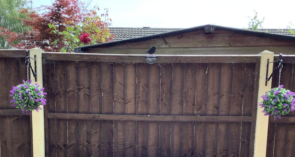 Robin Solar Powered LED Light — Flory's Online