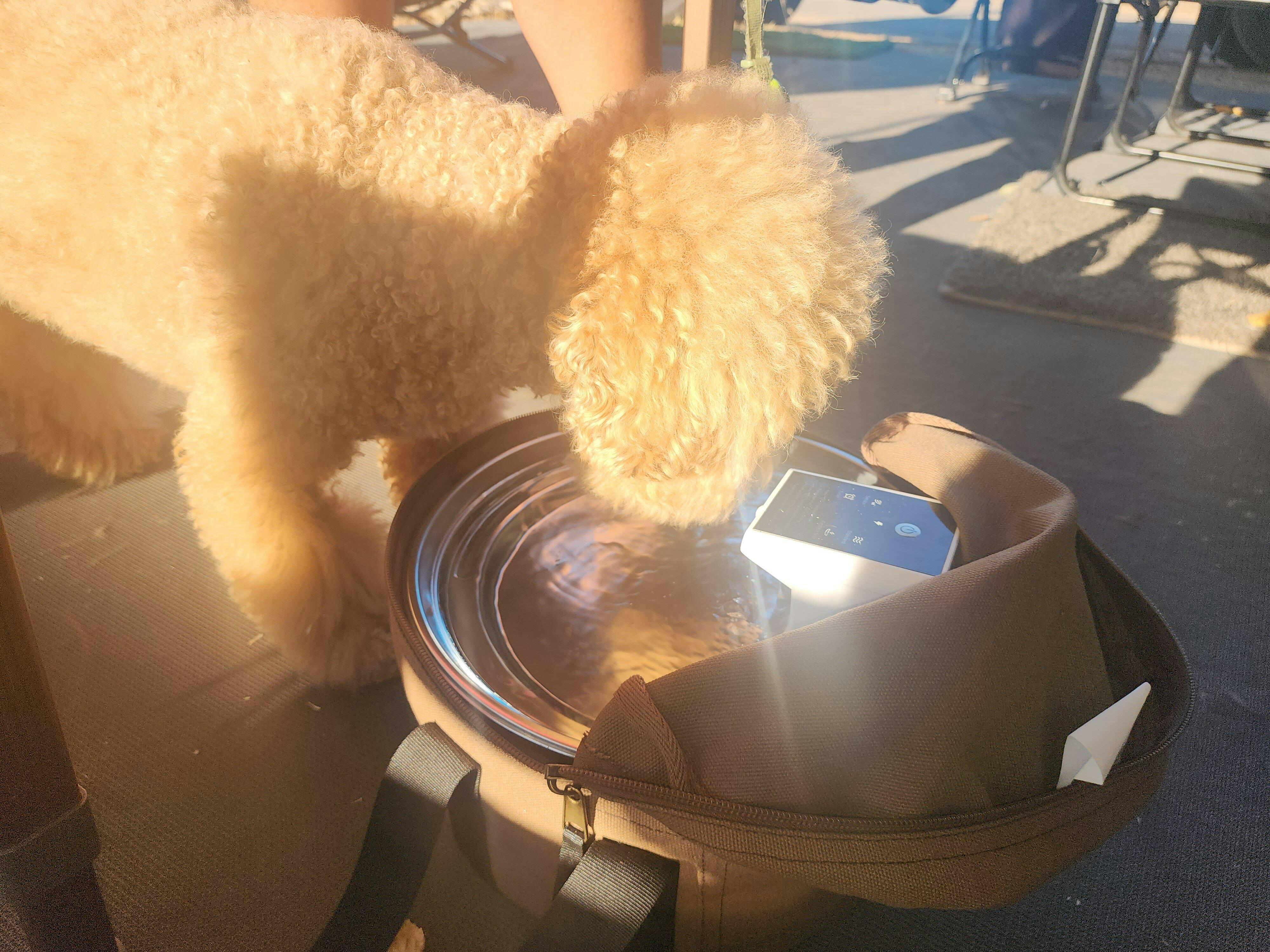 Flowzy™ Water Fountain