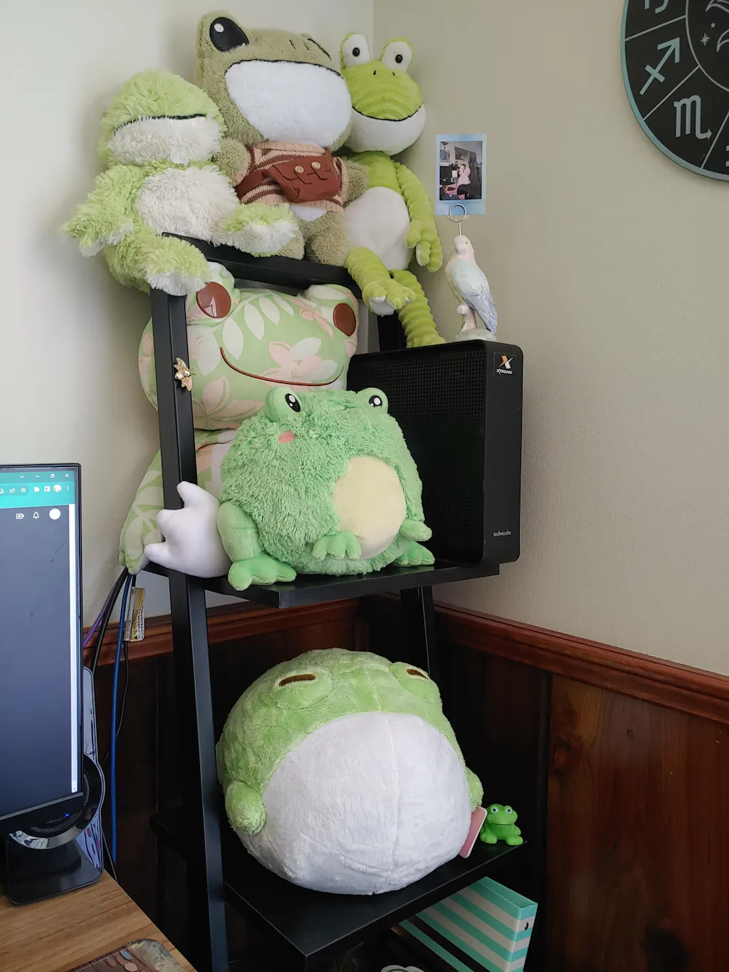 PuffPals Bean the Frog – Fluffnest
