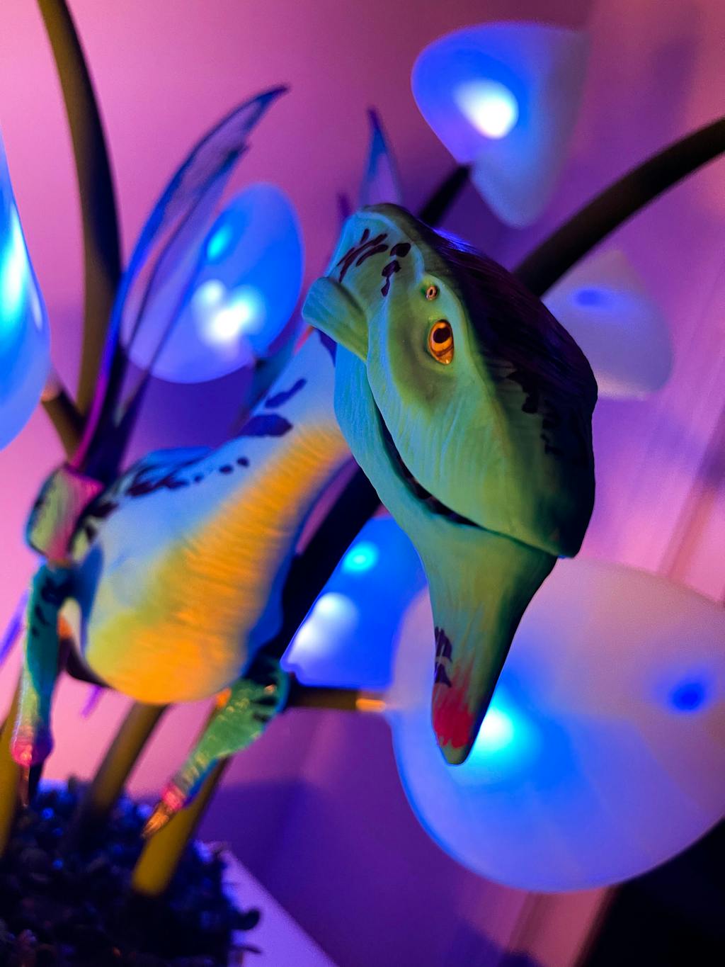 Fluora Mini | Fluora