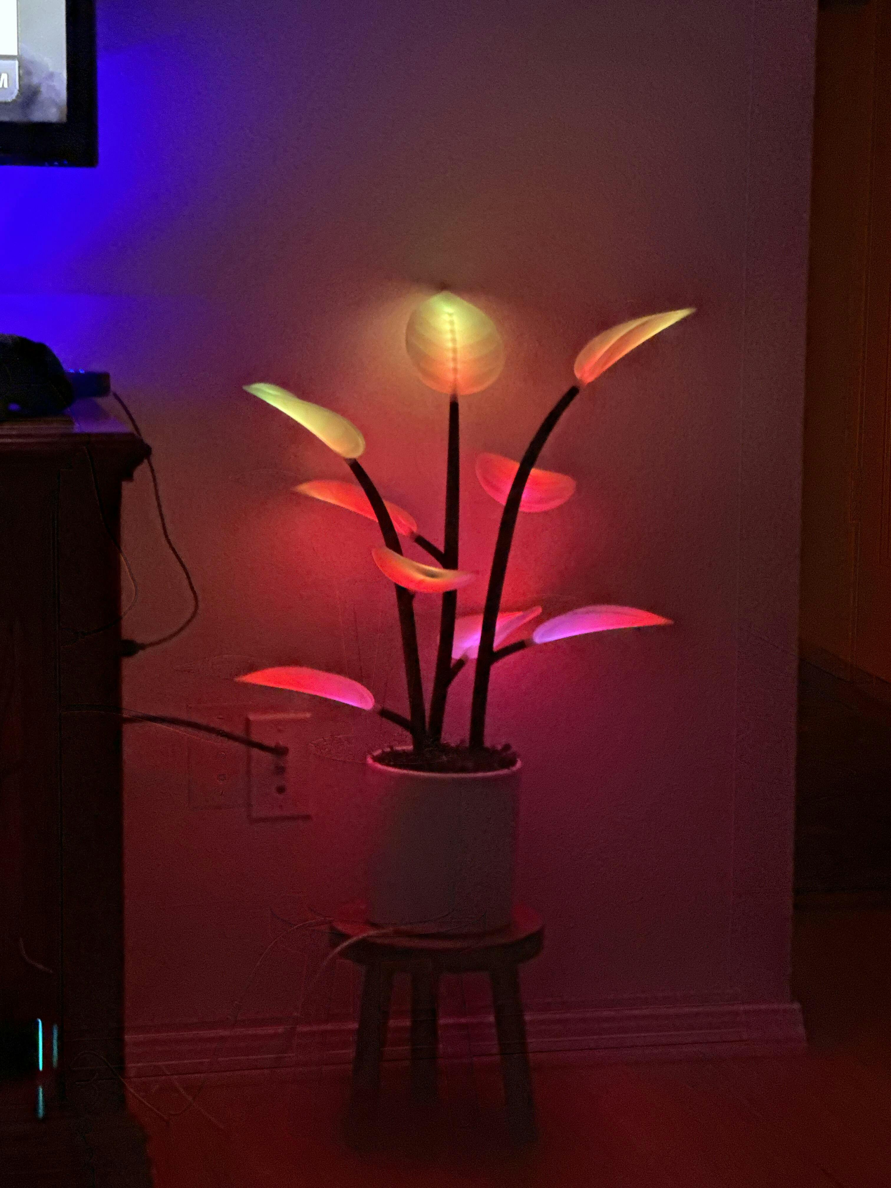 Fluora Mini | Fluora