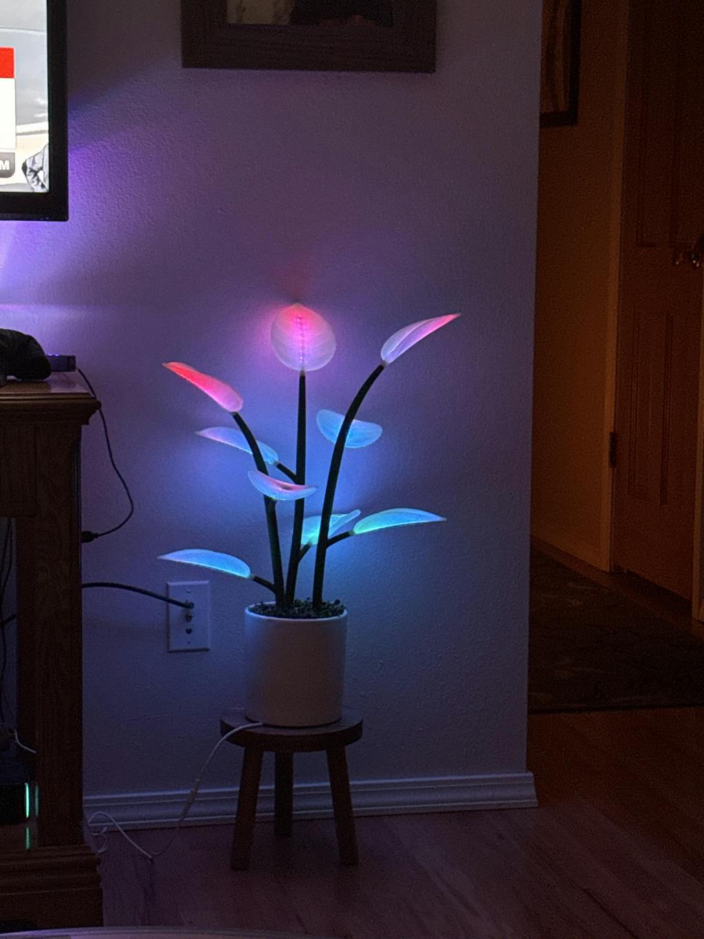 Fluora Mini | Fluora