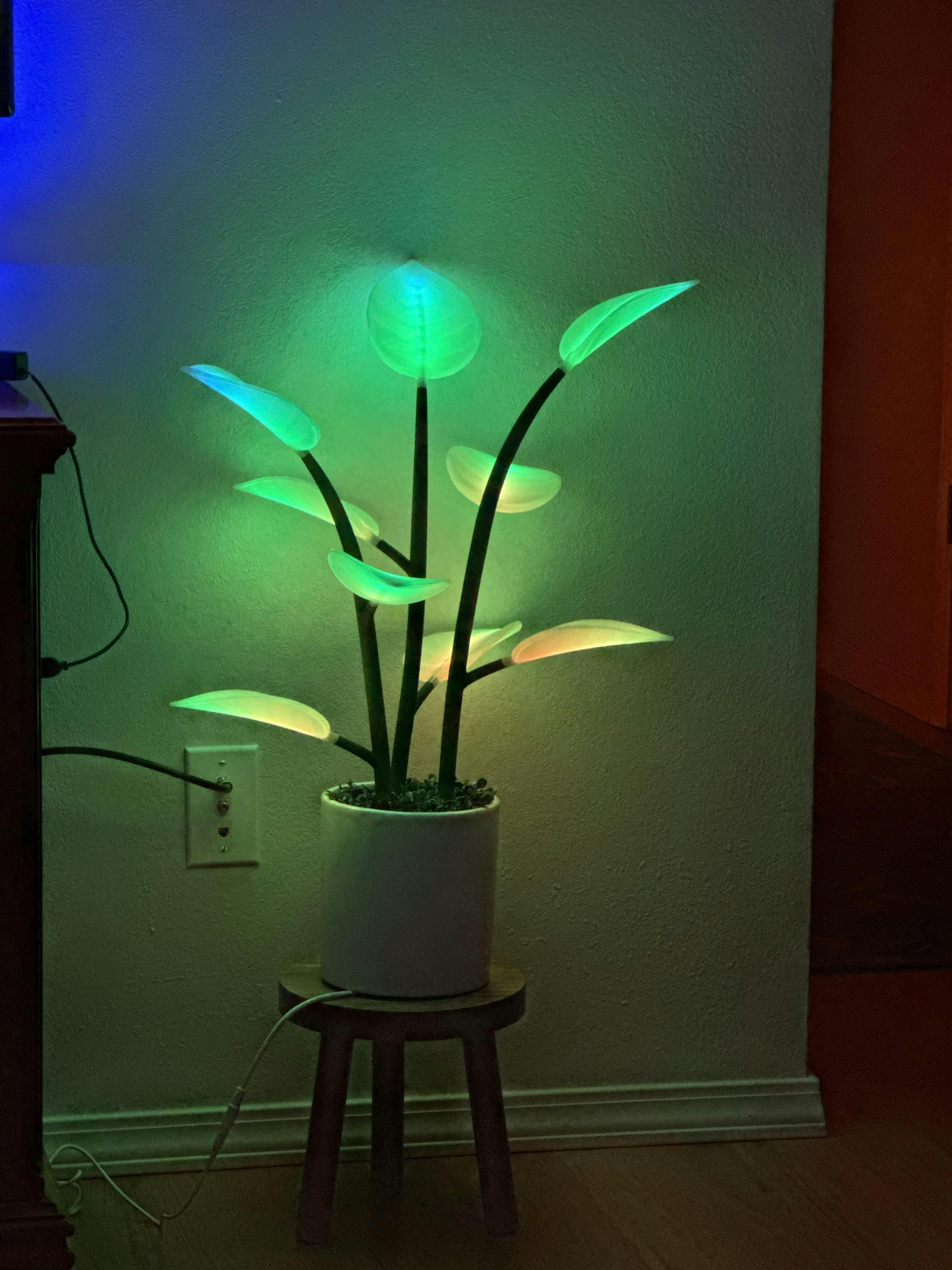 Fluora Mini | Fluora