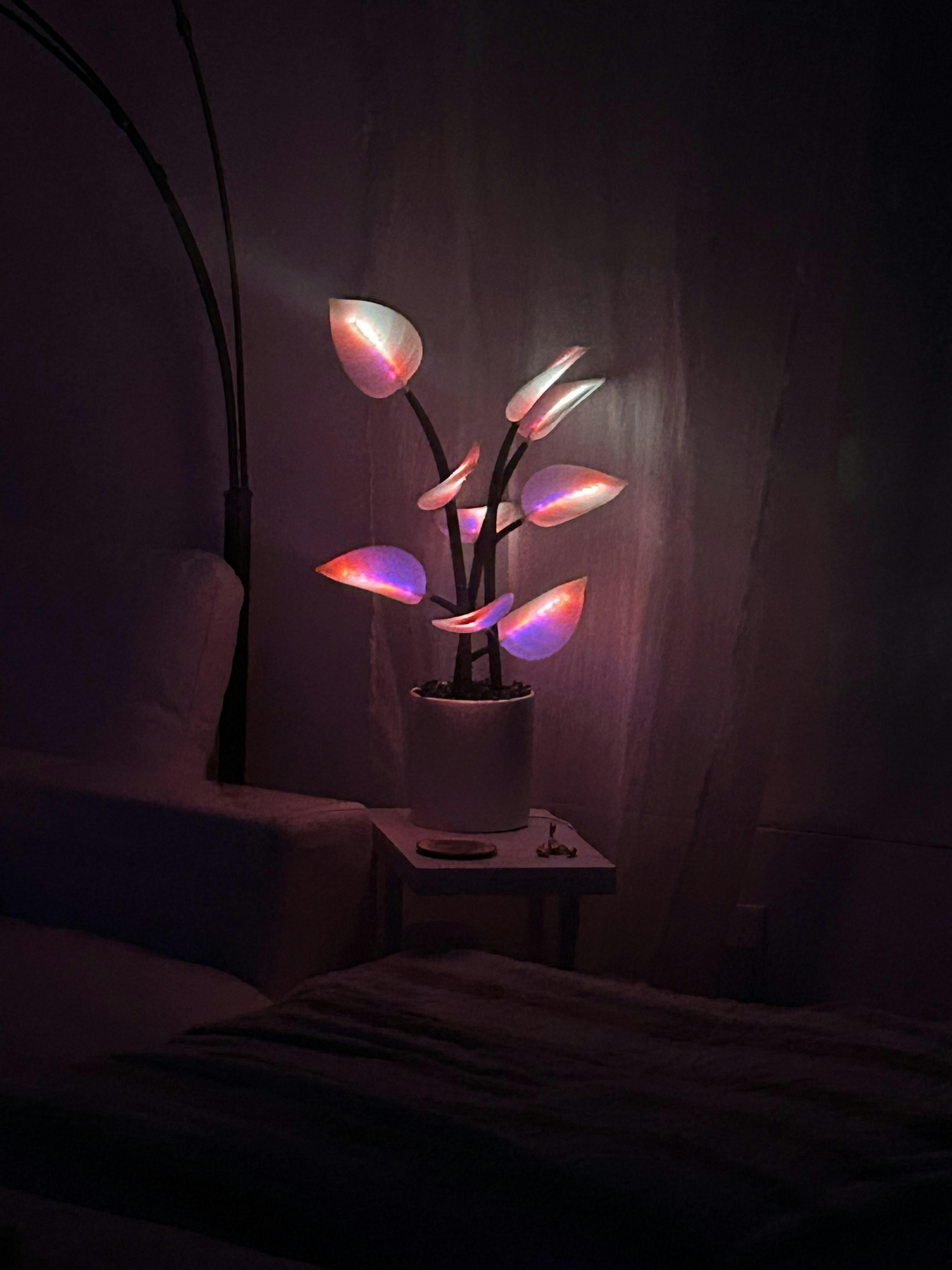 Fluora Mini | Fluora