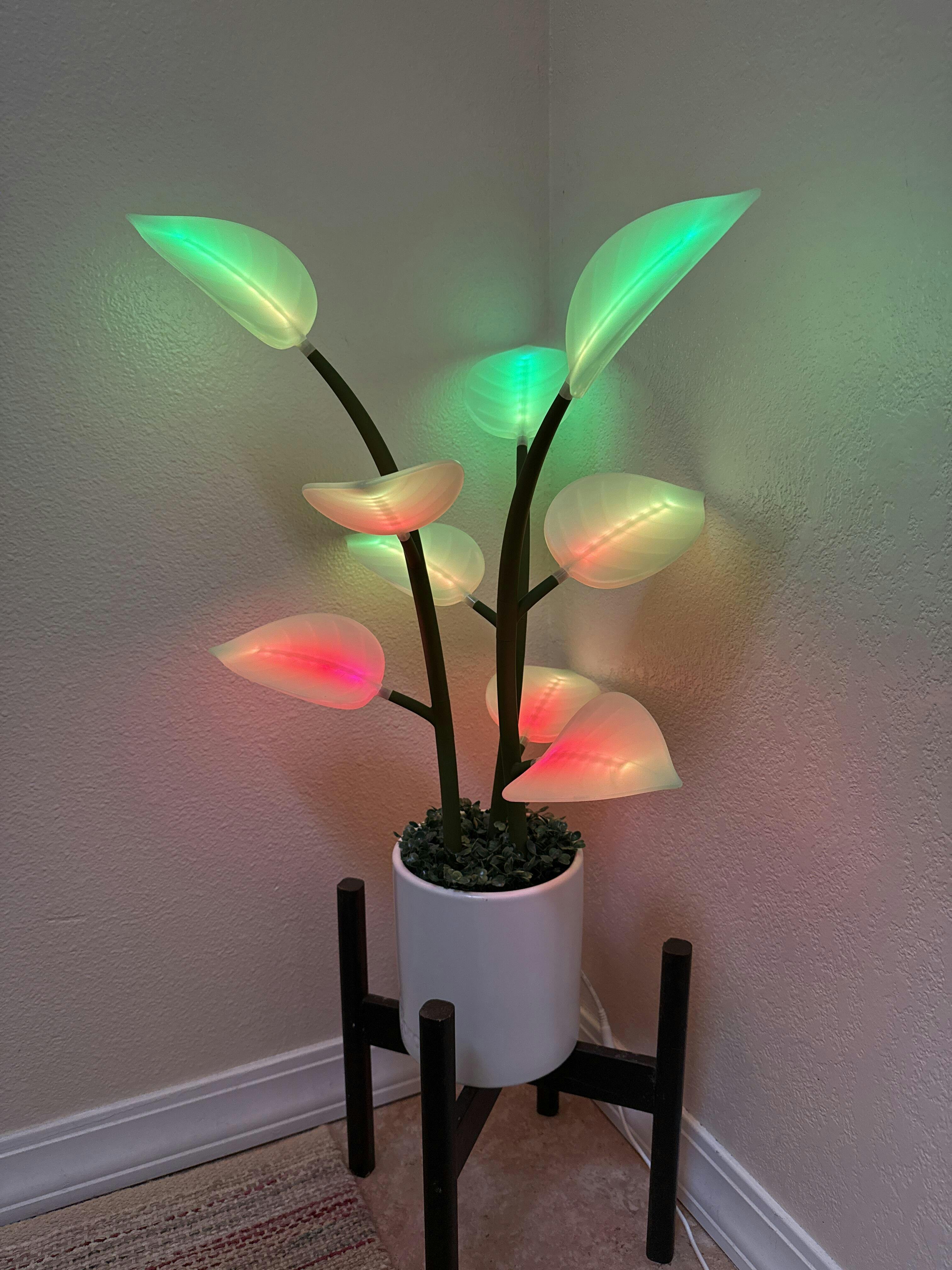 Fluora Mini | Fluora