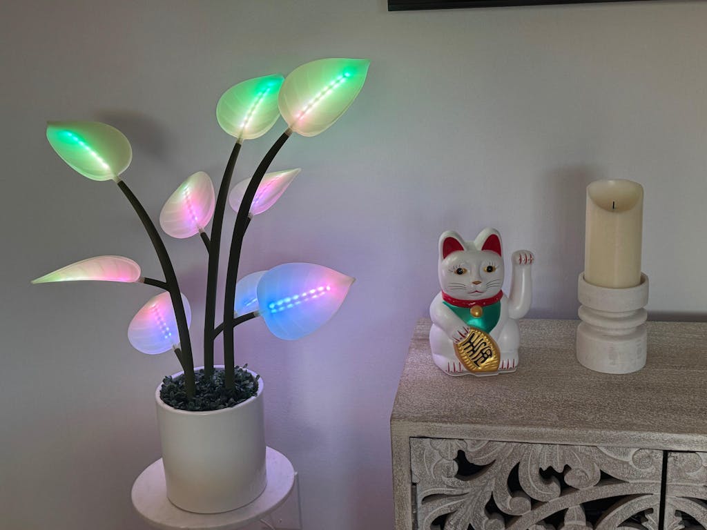 Fluora Mini | Fluora