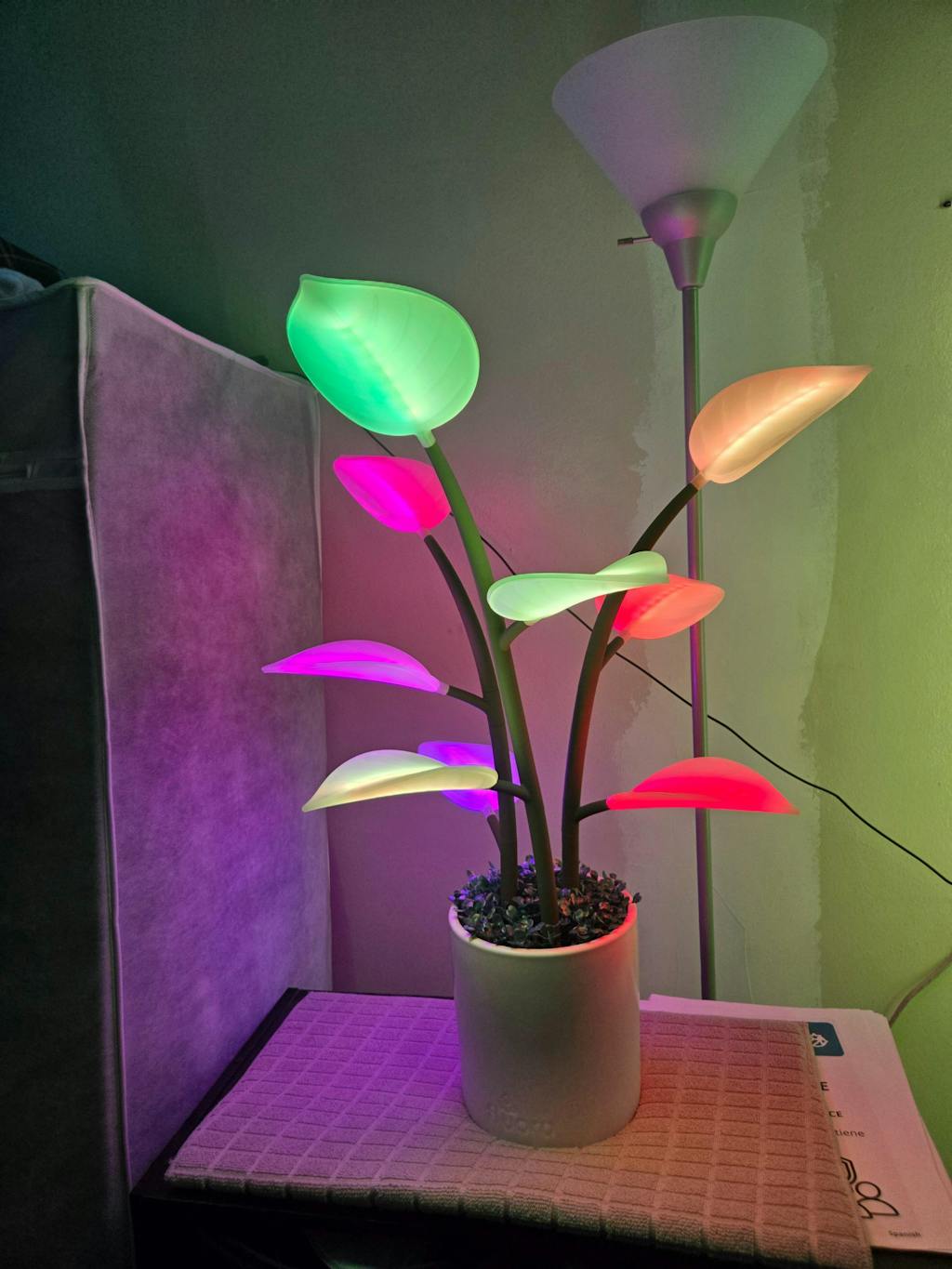 Fluora Mini | Fluora