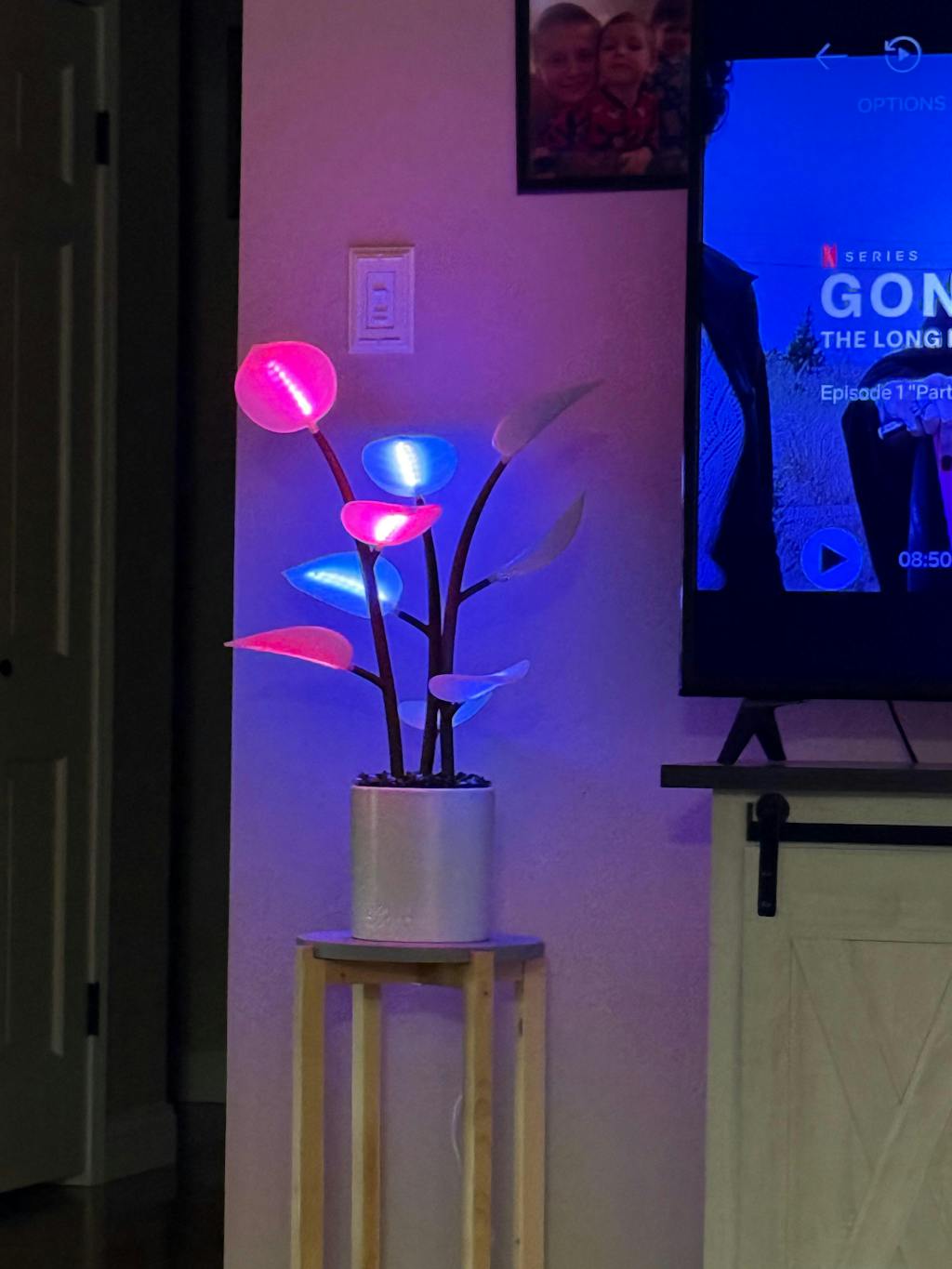 Fluora Mini | Fluora