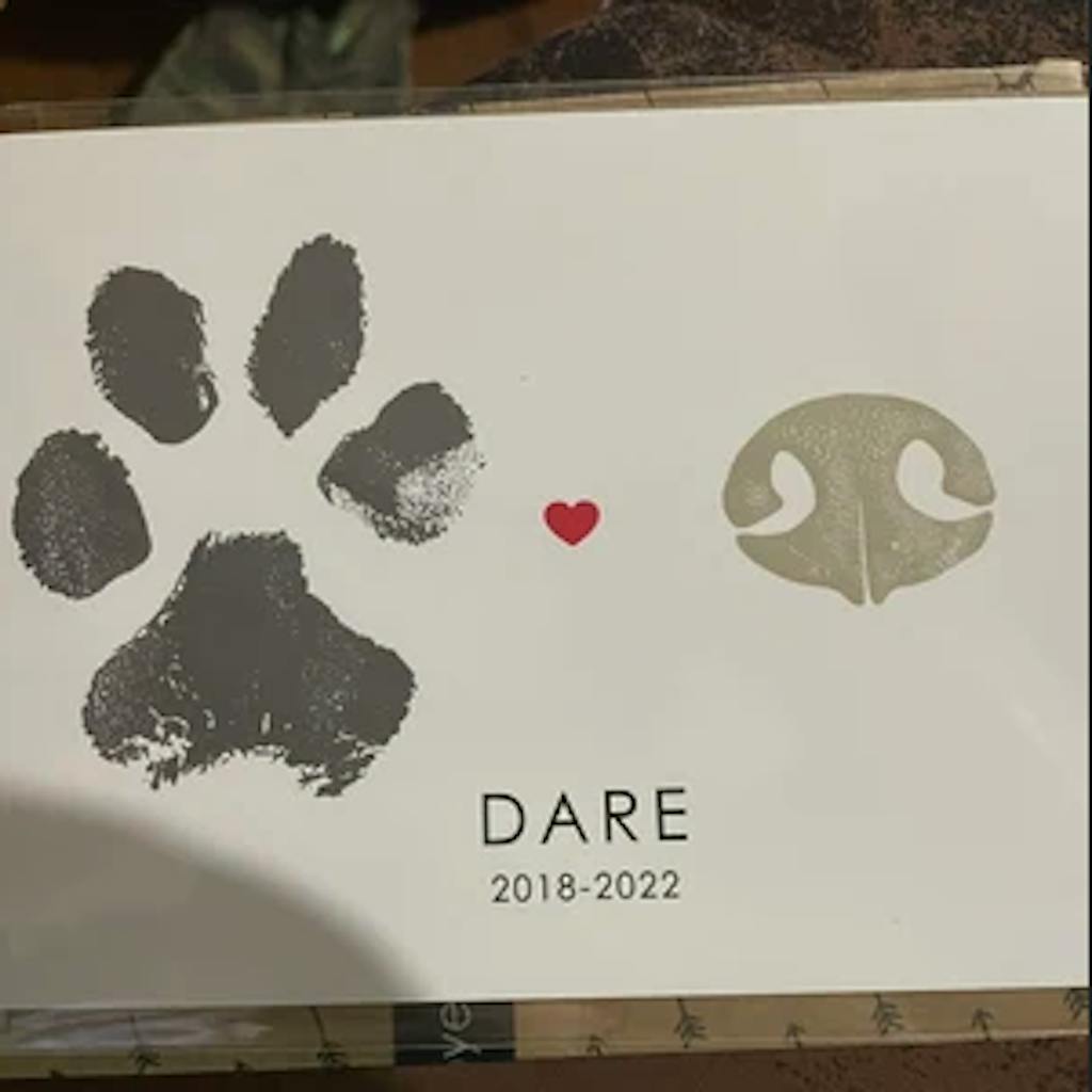 Pet Paw and Nose Print Gift | Both Prints Together - For Dogs, Cats, and other pets – Flutterbye ...