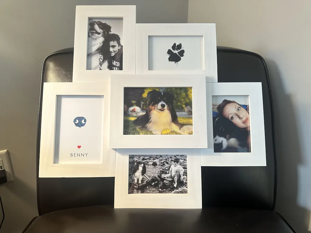 Custom Pet Nose Print Memorial Art | How to Get Dog Nose Print Easy Way ...