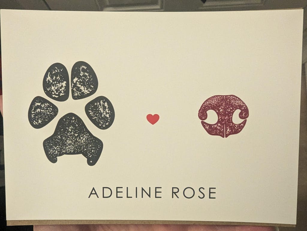 Custom Pet Nose Print Memorial Art | How to Get Dog Nose Print Easy Way ...