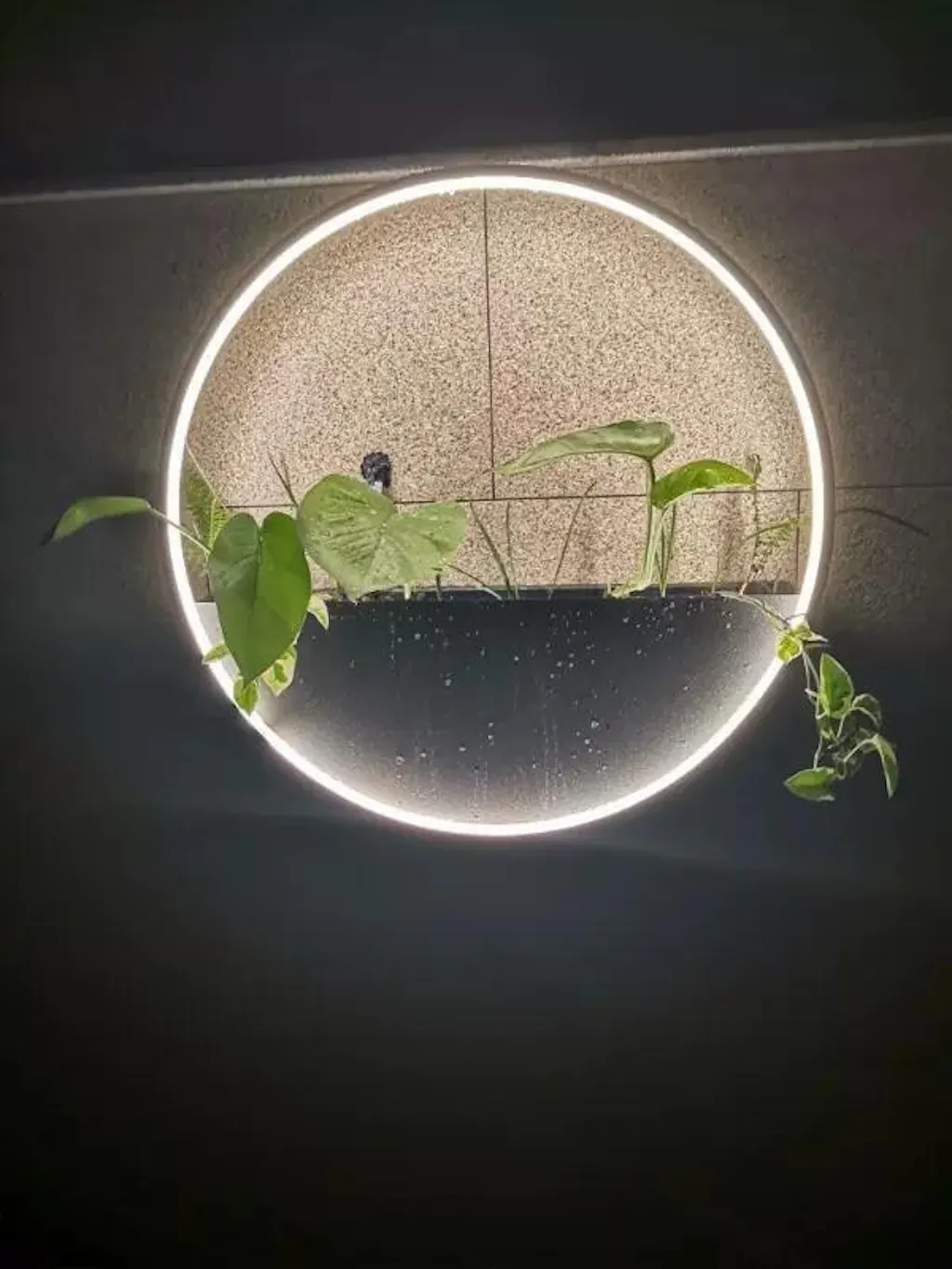 Waterproof Solar LED Outdoor Wall Light Wall Wall Sconce Plants Pot ...