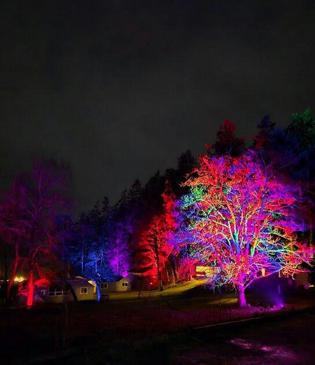 Outdoor RGB LED Tree Spotlights for Landscape Lighting – Flyachilles