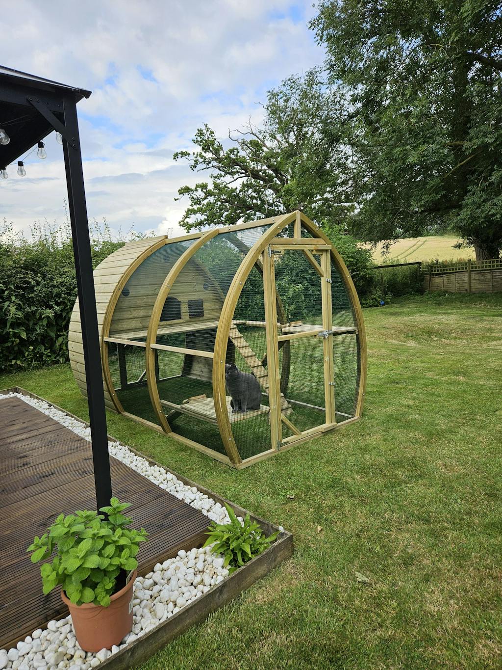 Arched Cat House and Run | Luxury Cat Houses made in UK