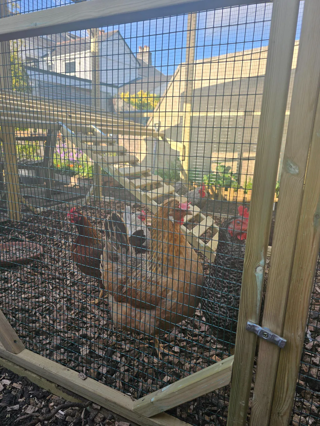 The Flyte Aviary Grand Chicken Coop | Flyte so Fancy