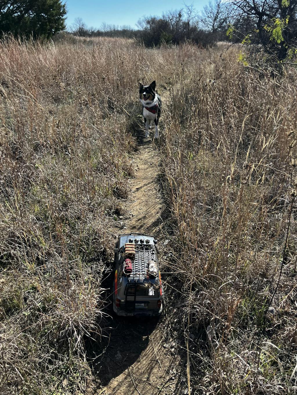 FMS 1:10 FCX10 LC80 Toyota Land Cruiser 80 RS | FMS