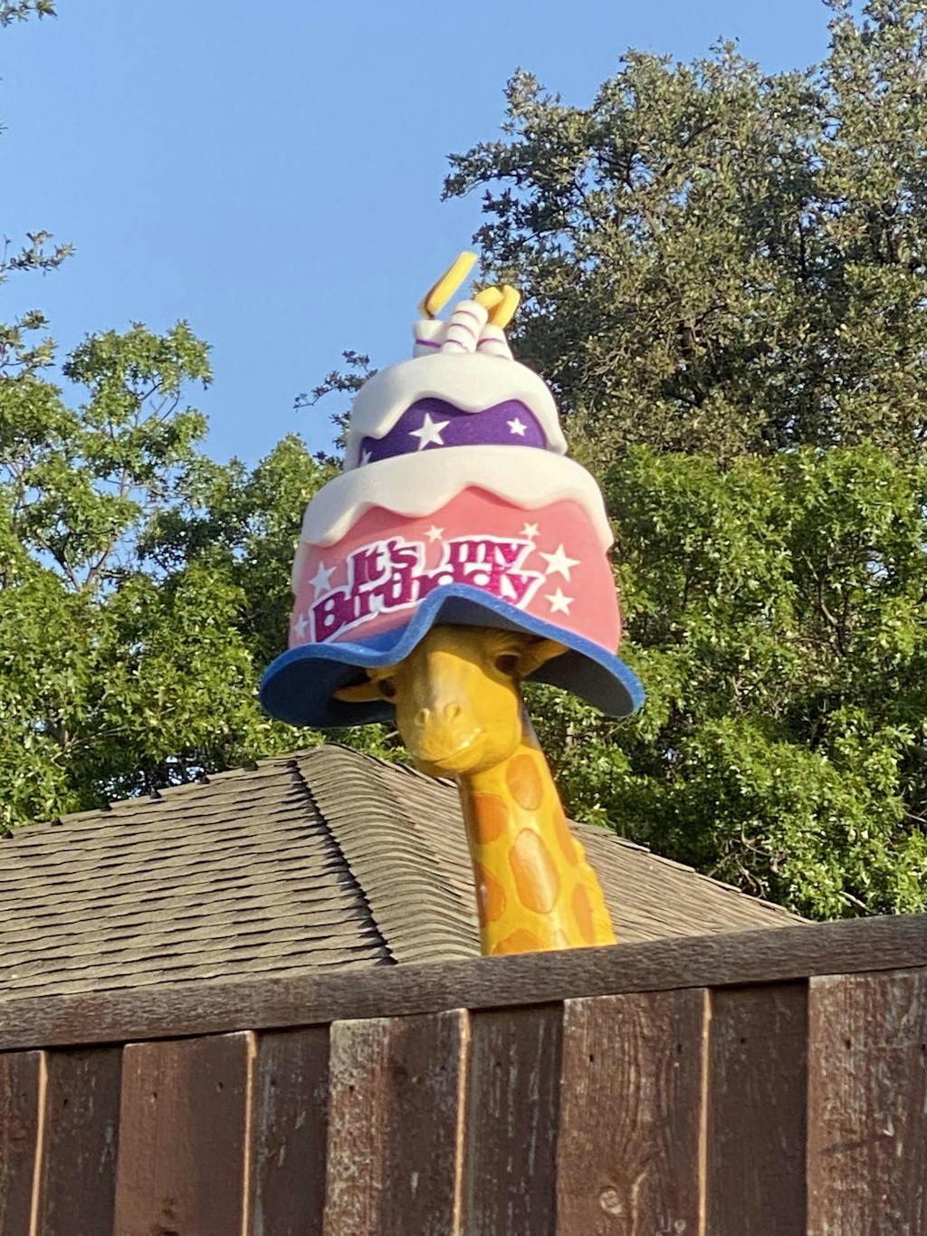 Cheese Grater Hat - Chicago Hat, Bears Party Hat | Foam Party Hats