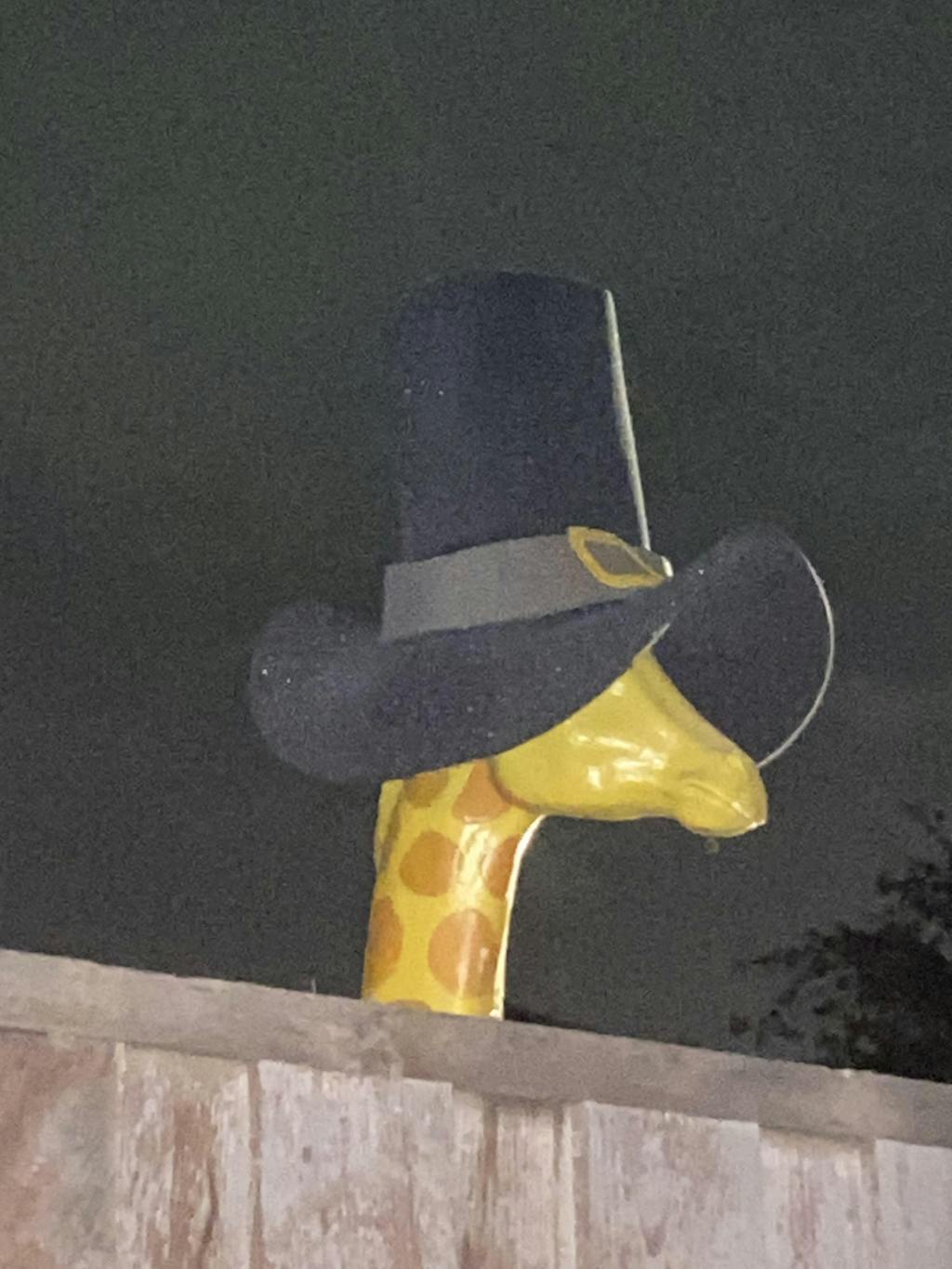 Cheese Grater Hat - Chicago Hat, Bears Party Hat | Foam Party Hats