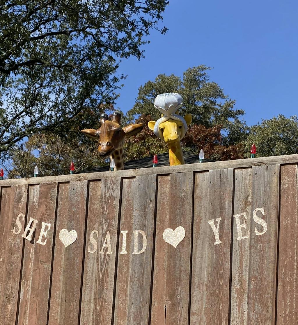 Cheese Grater Hat - Chicago Hat, Bears Party Hat | Foam Party Hats