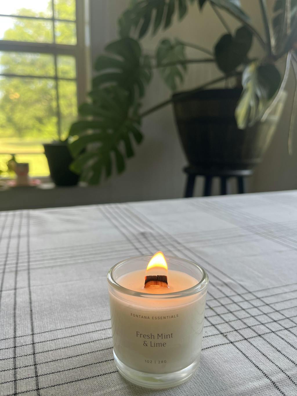 The Mini Candle Collection – Fontana Candle Co