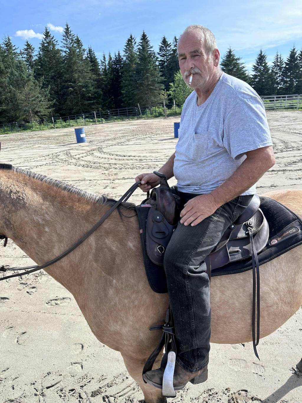 Calming Pellets – Formula 707®