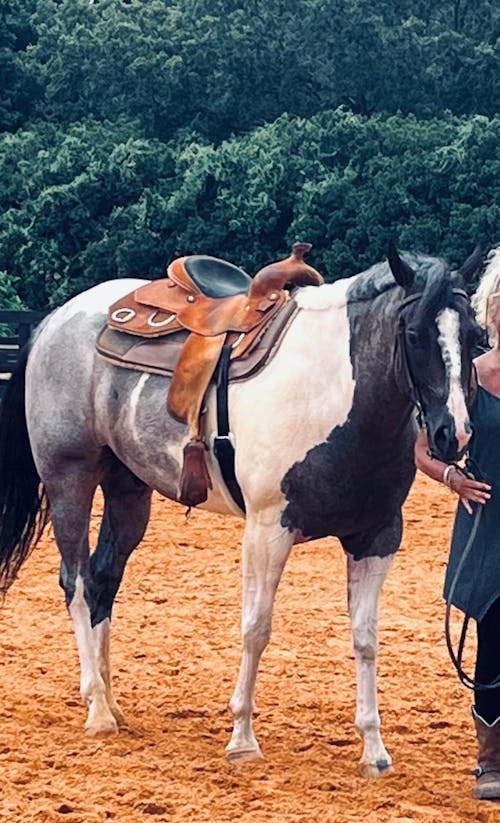 Home - Formula 707®