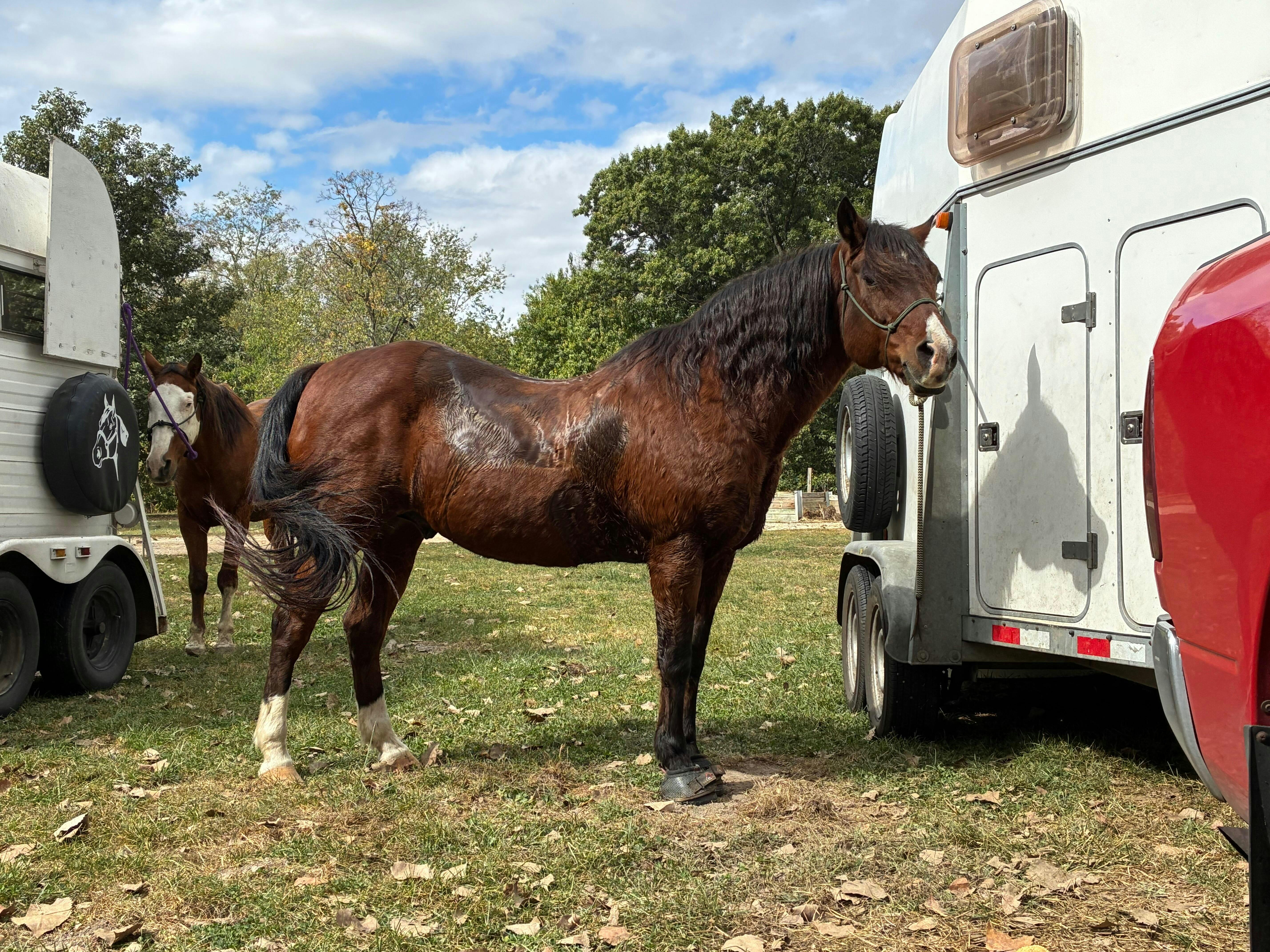 MetaStable® Pellets – Formula 707®