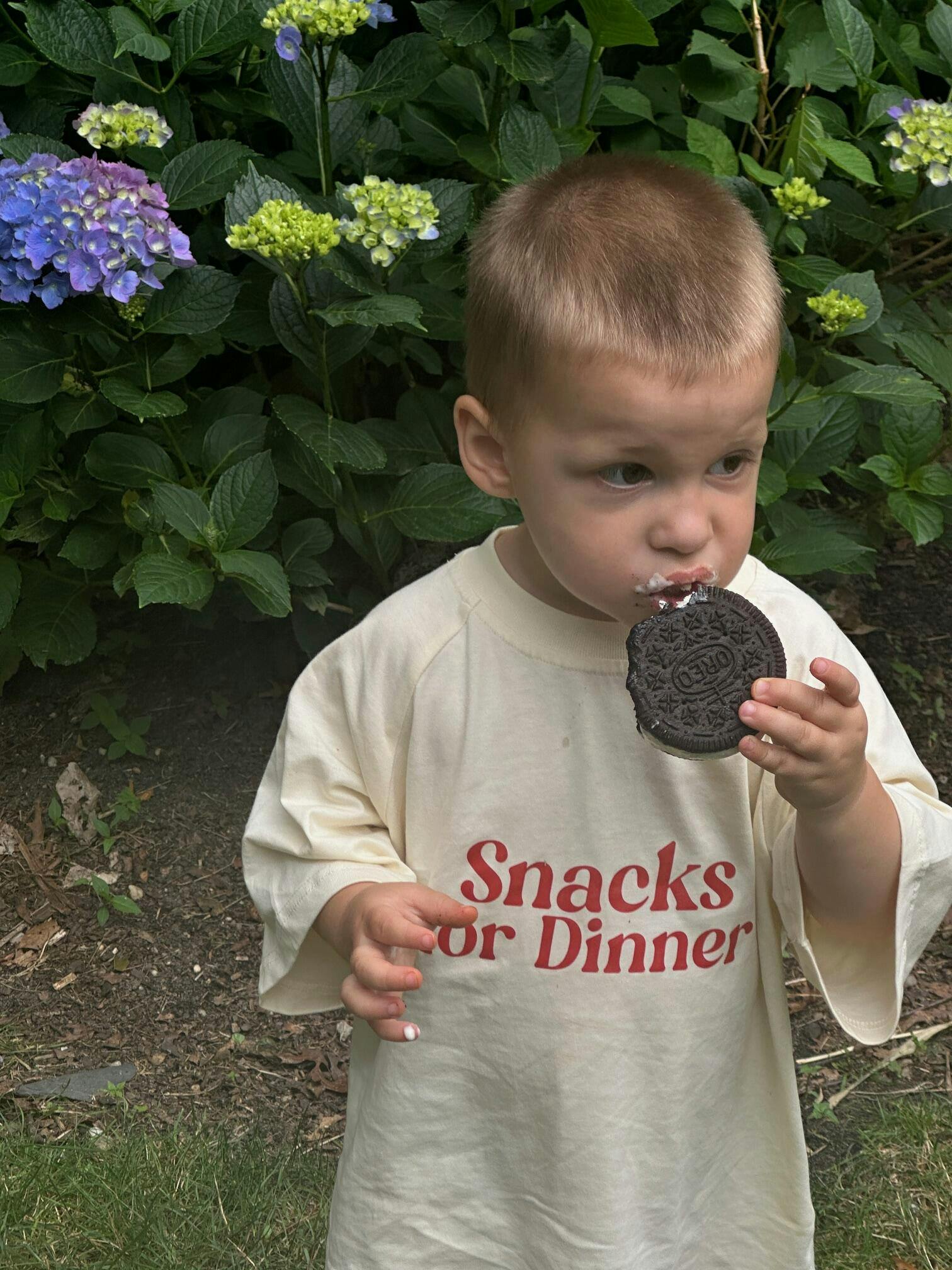 Graphic Tee- Snacks for Dinner – Fostered Collection