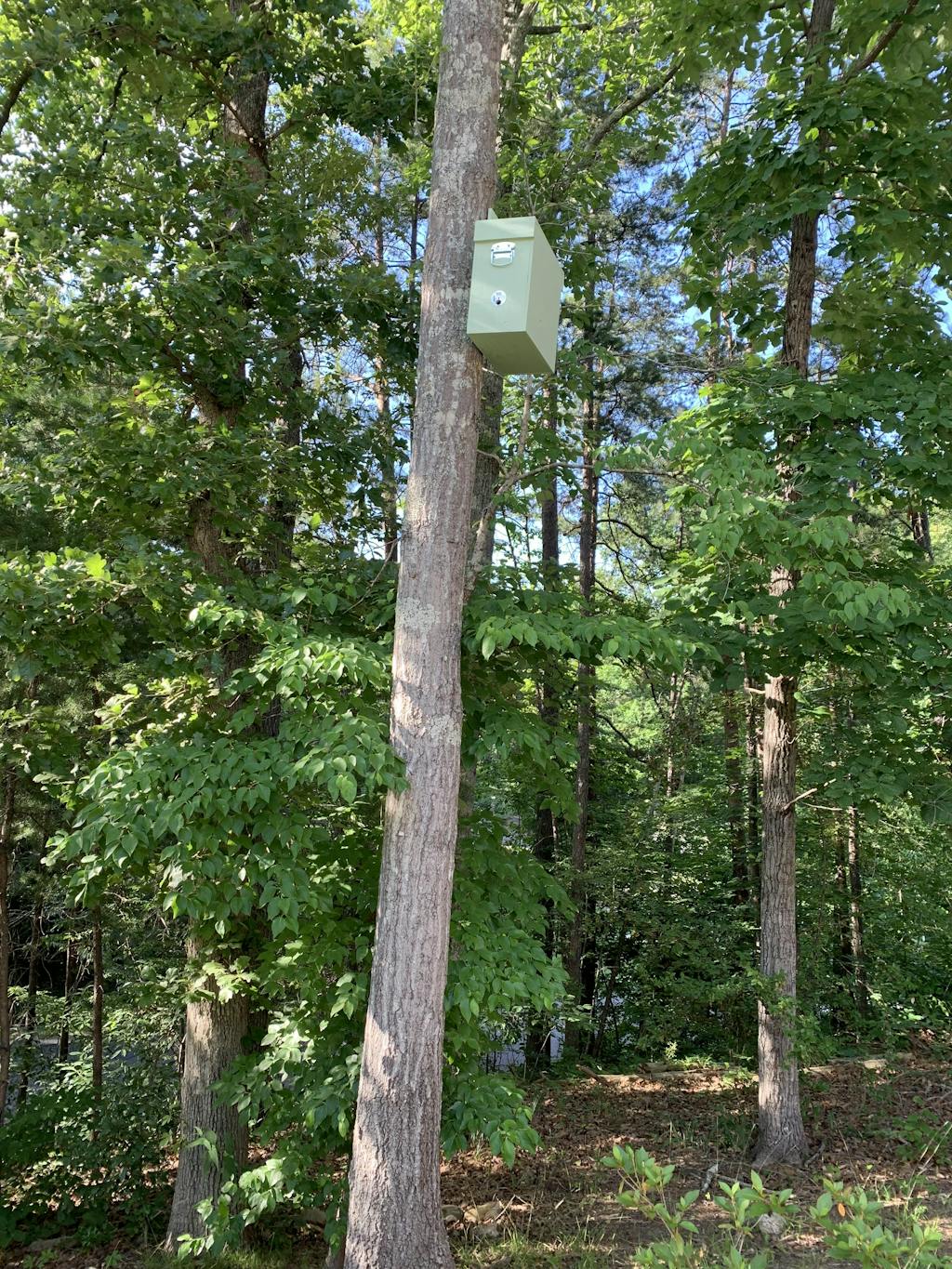 Swarm Box Trap – Foxhound Bee Company