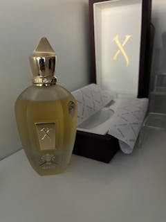 Full Catalog – Fragrance Nevaeh