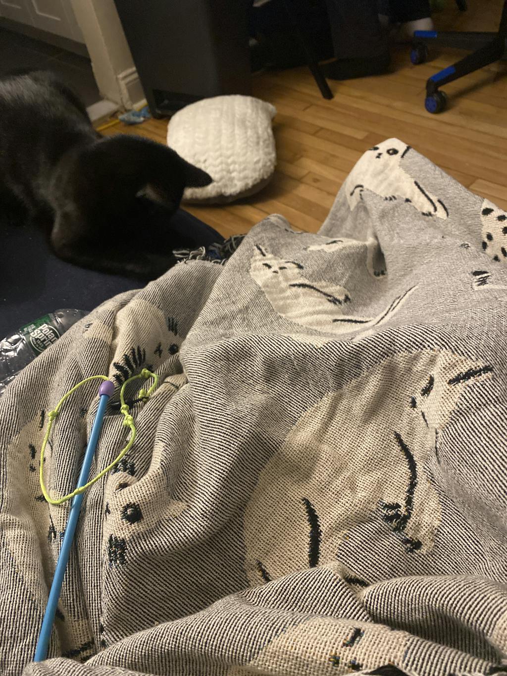 Grey Cats Throw Blanket