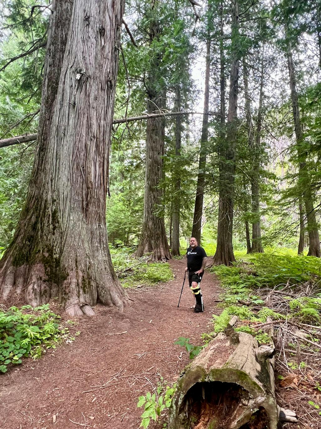 Hands Free Crutch - Crutch Alternative - Freedom Leg – Freedom Leg brace